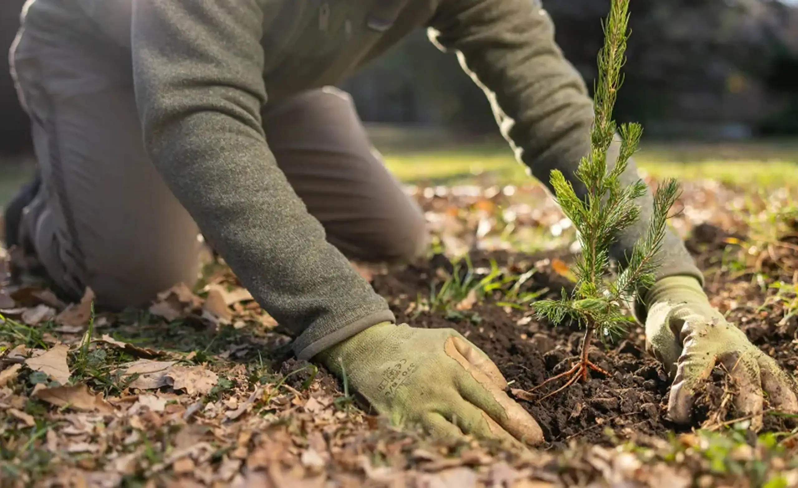 Arbor Day Foundation - 829 Studios
